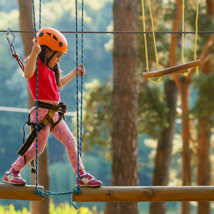 NASBE – National Association of State Boards of Education – The only ...